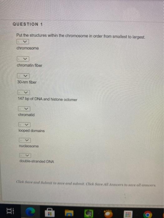 Solved QUESTION 1 Put the structures within the chromosome | Chegg.com