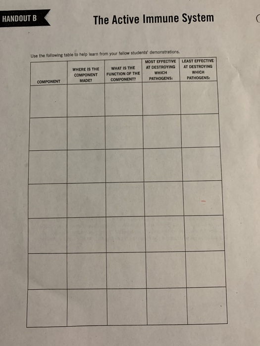 Solved The Active Immune System HANDOUT A Innate immune | Chegg.com