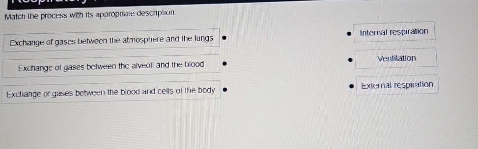 Solved Match the process with its appropriate | Chegg.com