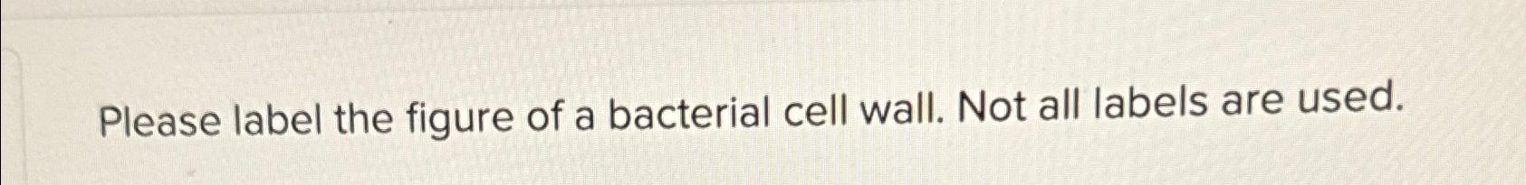 Solved Please label the figure of a bacterial cell wall. Not | Chegg.com
