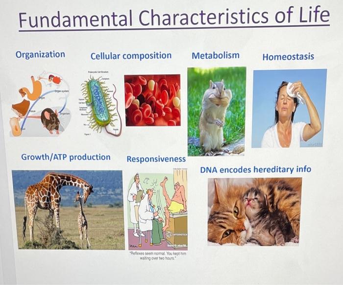 Solved 5) List one fundamental characteristic of life and | Chegg.com