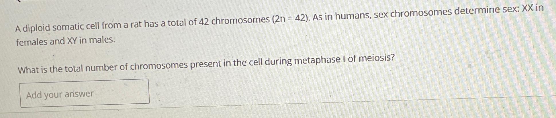 Solved A diploid somatic cell from a rat has a total of 42 | Chegg.com
