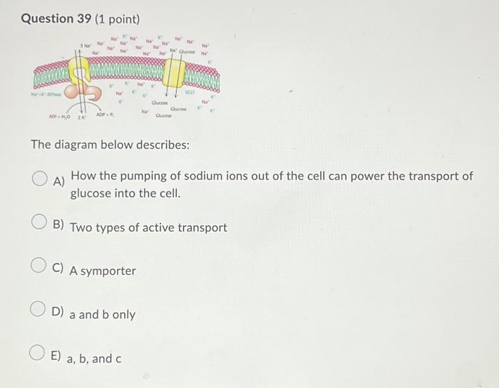 Solved Question 39 (1 point) The diagram below describes: A) | Chegg.com