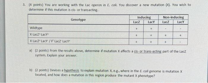 Solved 3. (4 points) You are working with the Lac operon in | Chegg.com