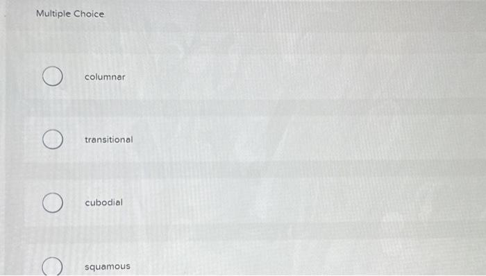 Solved Multiple Choice columnar transitional cubodial | Chegg.com