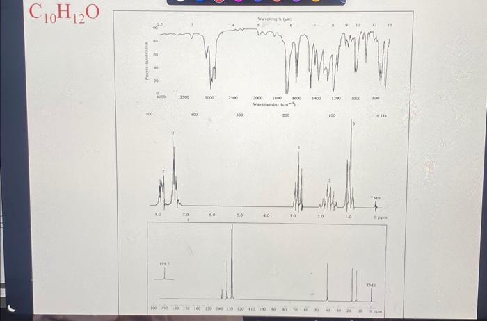 Solved C10H12O | Chegg.com