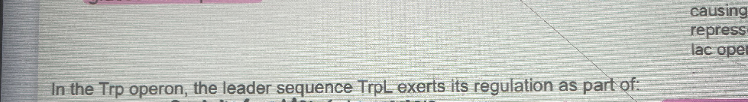 Solved In the Trp operon, the leader sequence TrpL exerts | Chegg.com