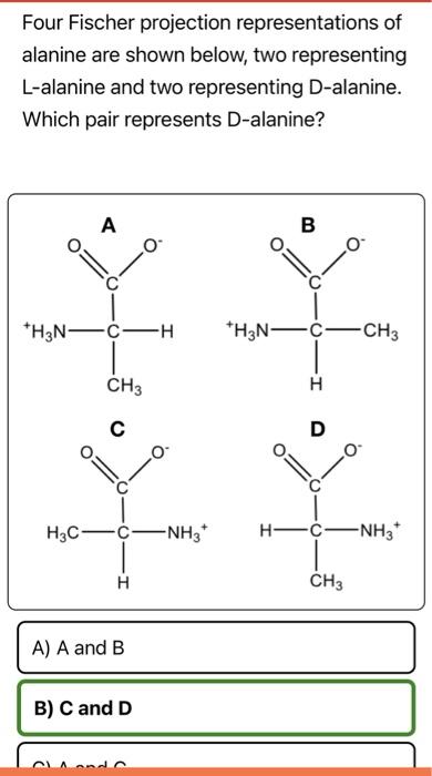 Solved Four Fischer projection representations of alanine | Chegg.com
