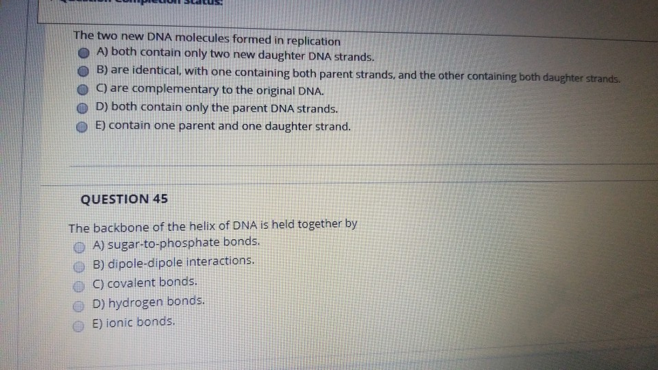 Solved The two new DNA molecules formed in replication A) | Chegg.com