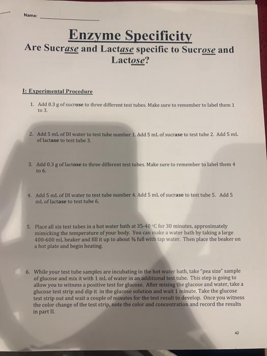 Solved Name: Enzyme Specificity Are Sucrase and Lactase | Chegg.com