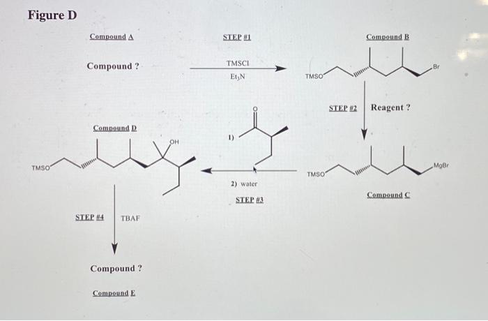 Solved Compound ? Compound D 2) water Compound C STEP 13 | Chegg.com
