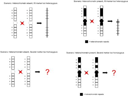 Draw linkage maps for the third scenario | Chegg.com
