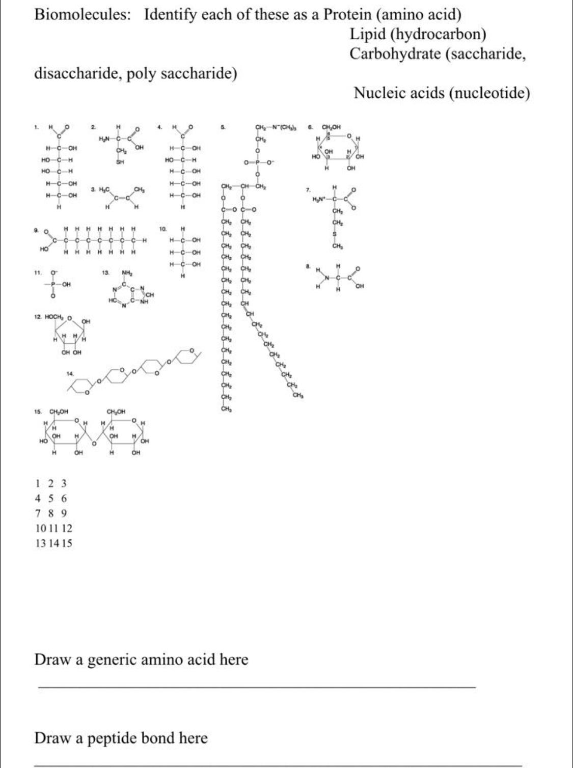 Solved Biomolecules: Identify each of these as a Protein | Chegg.com