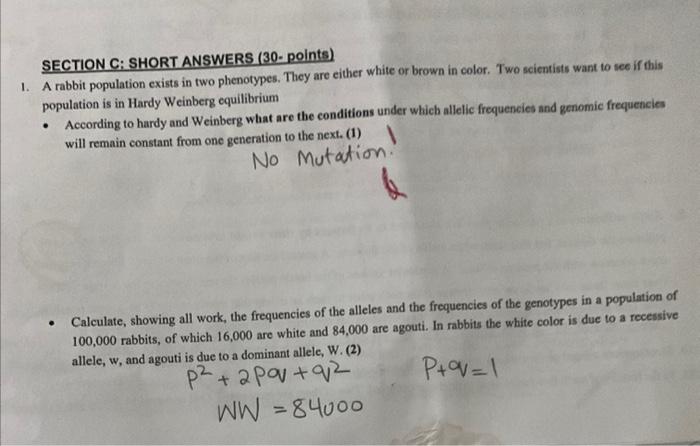 Solved SECTION C: SHORT ANSWERS (30-points) 1. A rabbit | Chegg.com