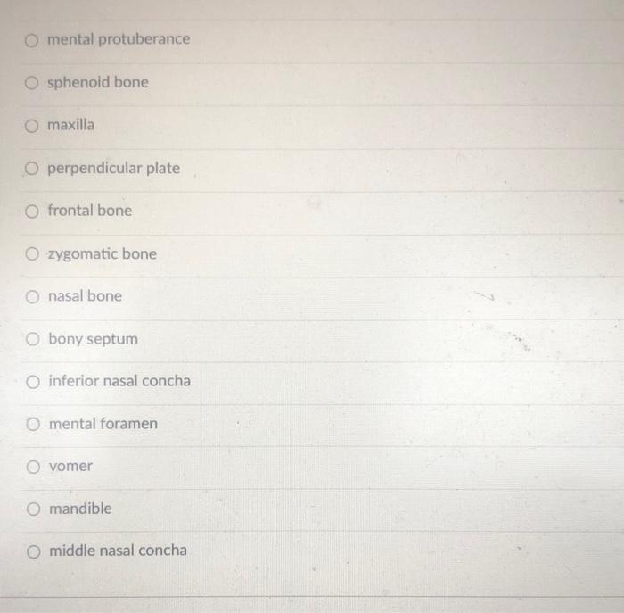 Solved mental protuberance sphenoid bone maxilla | Chegg.com