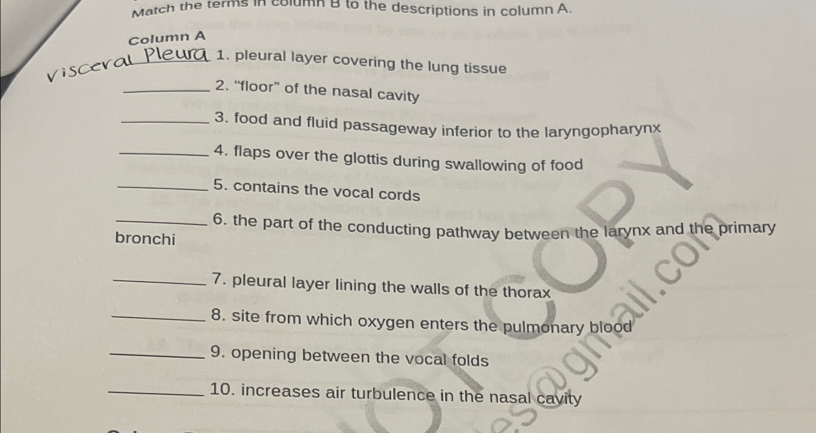 Solved column Avisceral Pleura 1. ﻿pleural layer covering | Chegg.com