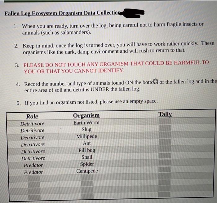 Solved Date: FALLEN LOG AND DECOMPOSITION Objectives: | Chegg.com