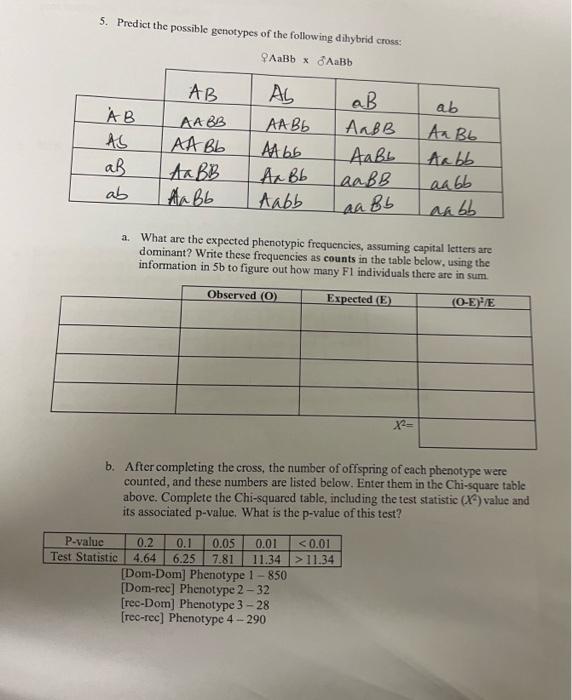 Solved 5. Predict the possible genotypes of the following | Chegg.com