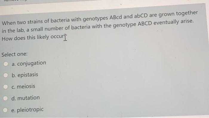 Solved When two strains of bacteria with genotypes ABcd and | Chegg.com
