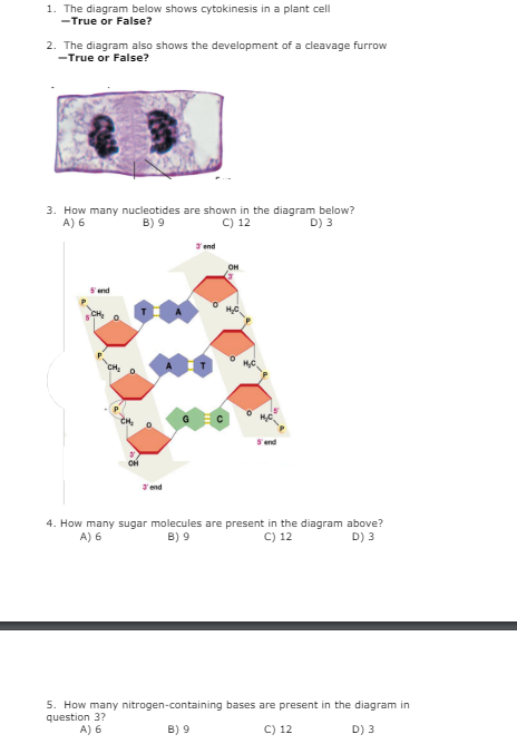 Solved The diagram below shows cytokinesis in a plant | Chegg.com