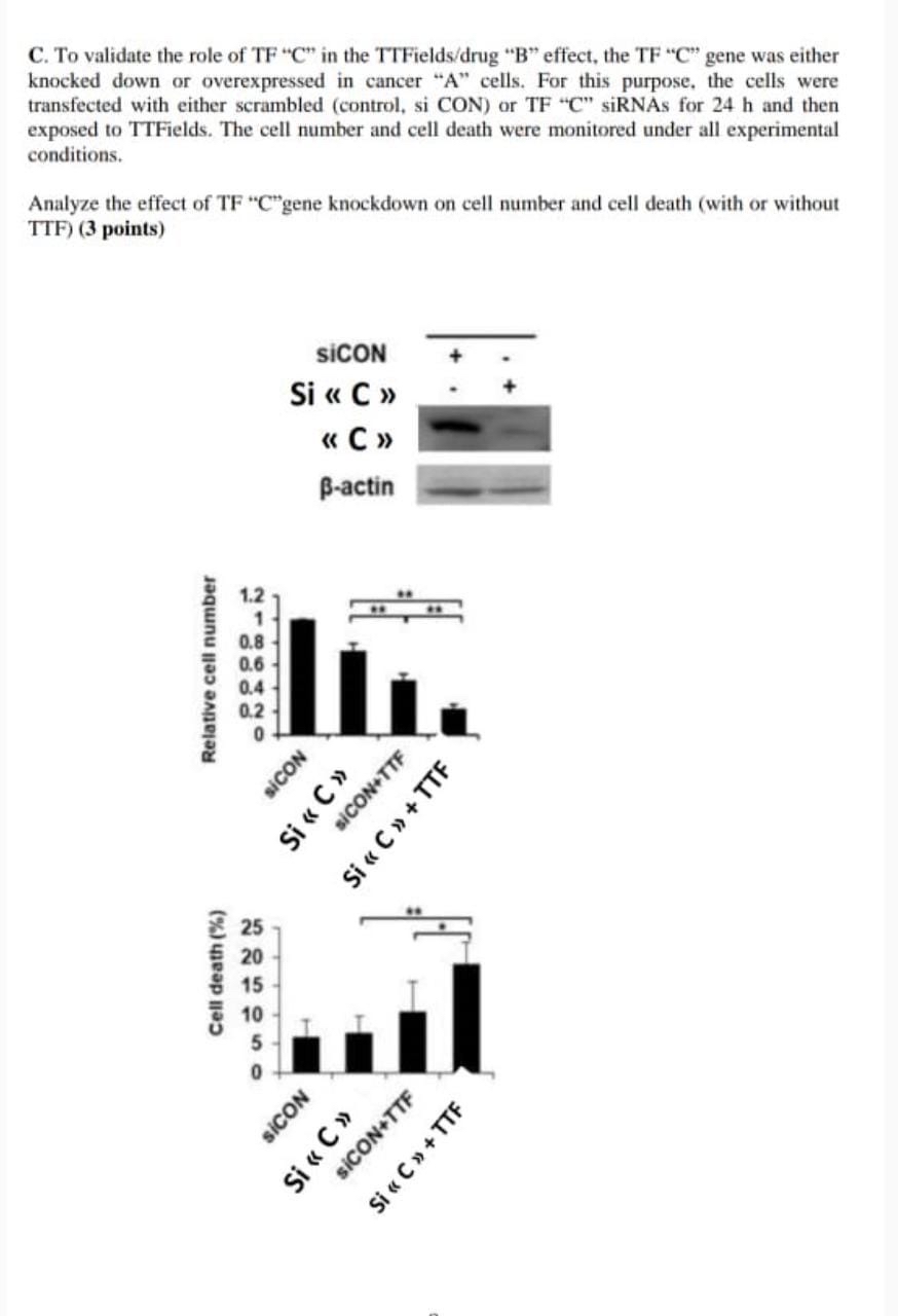 Solved C. ﻿To validate the role of TF "C" ﻿in the | Chegg.com