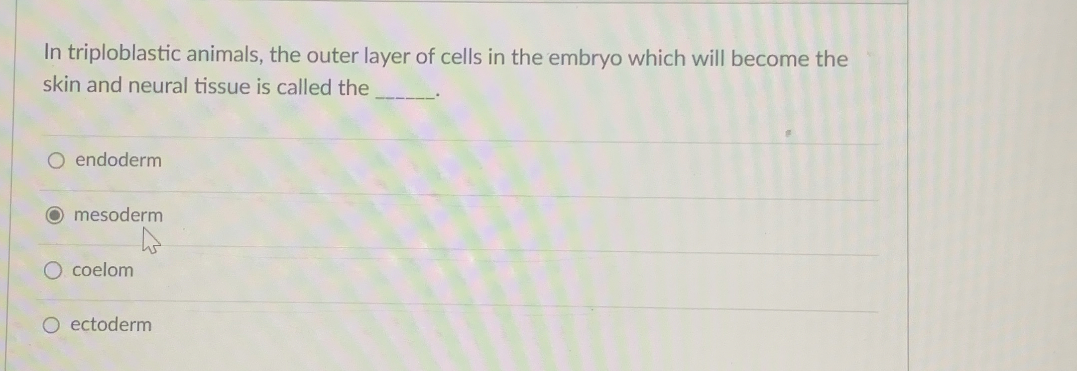 Solved In triploblastic animals, the outer layer of cells in | Chegg.com