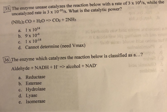 Solved 35. The enzyme urease catalyzes the reaction below | Chegg.com
