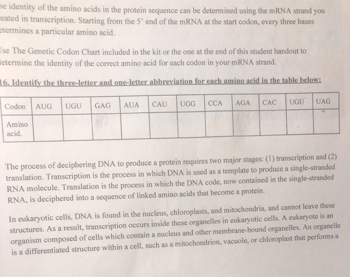 Solved 16. Identify the three-letter and one letter | Chegg.com