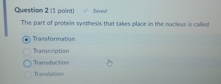 Solved Question 2 (1 ﻿point)The part of protein synthesis | Chegg.com