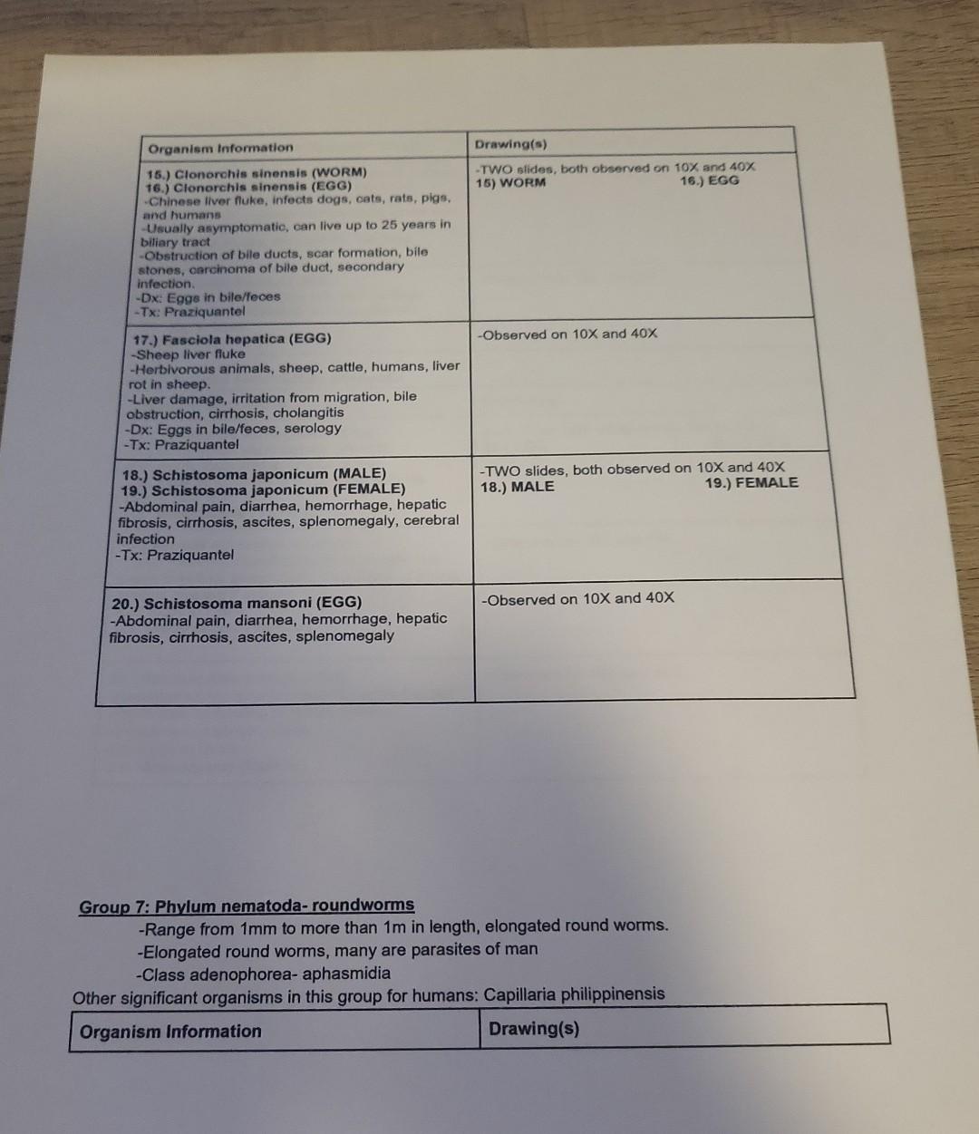 Group 7: Phylum nematoda- roundworms -Range from 1 mm | Chegg.com