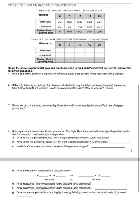Solved EFFECT OF LIGHT ON RATE OF PHOTOSYNTHESIS TABLE 6.2: | Chegg.com