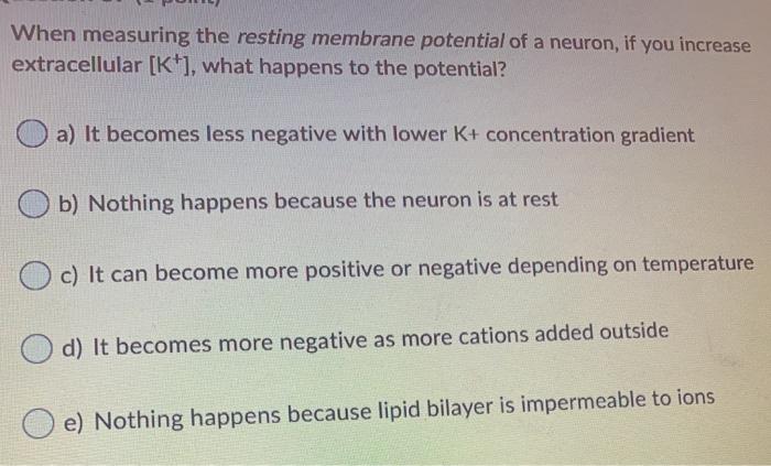 Solved When measuring the resting membrane potential of a | Chegg.com