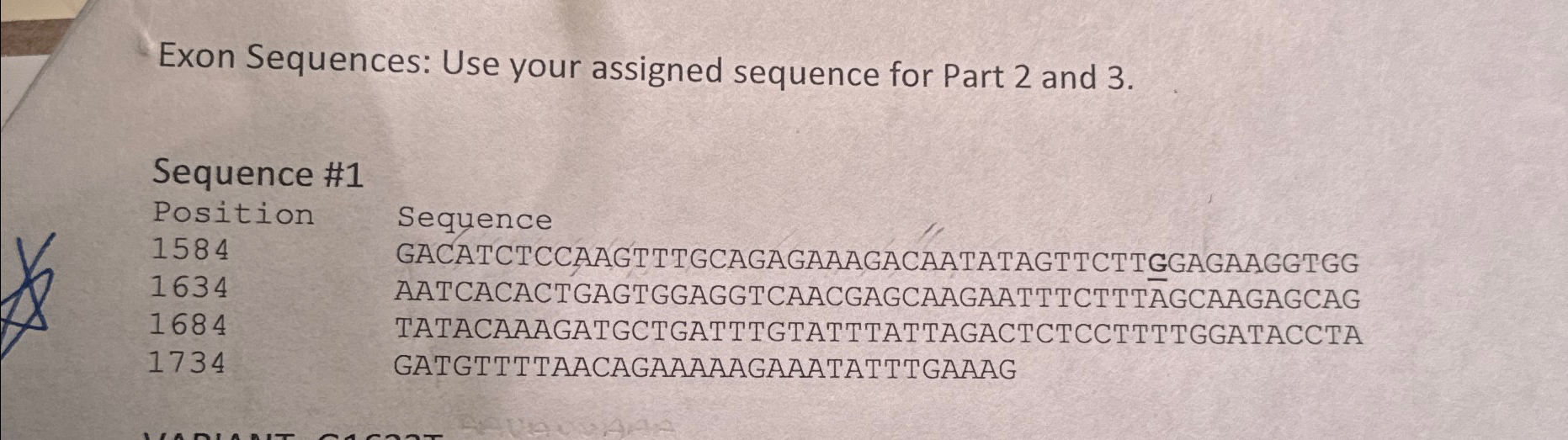 Solved Exon Sequences: Use your assigned sequence for Part 2 | Chegg.com