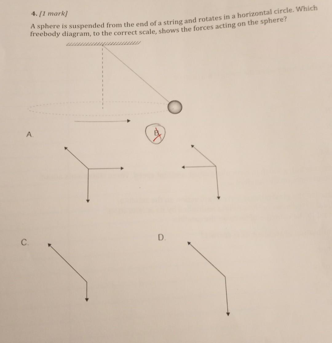 Solved 4. [1 mark] A sphere is suspended from the end of a | Chegg.com
