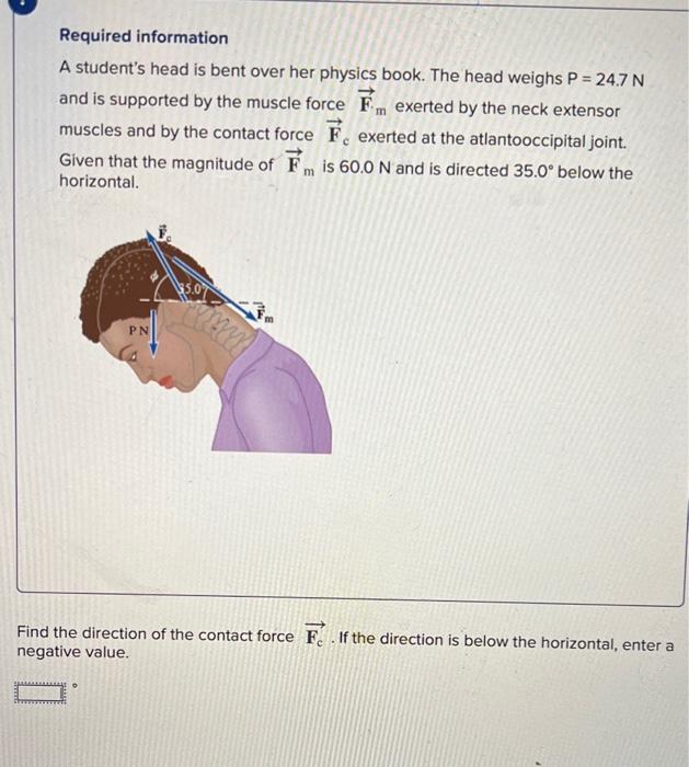 Solved Required information A student's head is bent over | Chegg.com