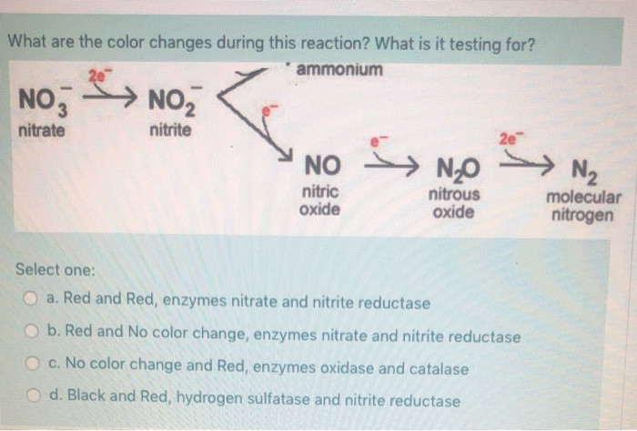 Solved What are the color changes during this reaction? What | Chegg.com