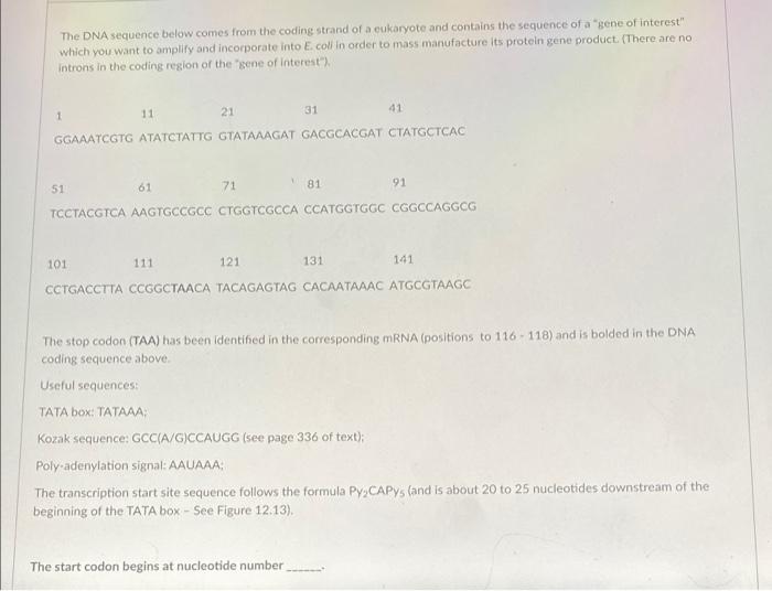 Solved The DNA sequence below comes from the coding strand | Chegg.com
