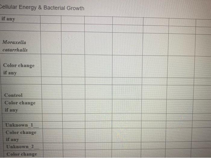 Solved 1. Bacillus subtilis 2. Staphylococcus epidermidis 3. | Chegg.com