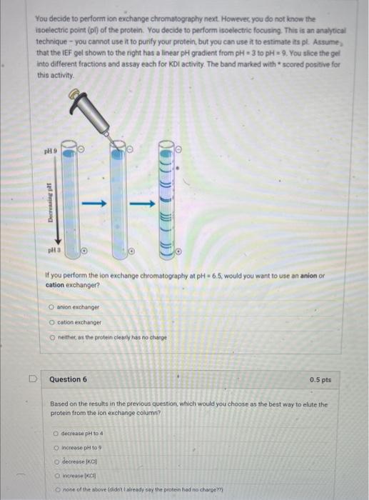 Solved You decide to perform ion exchange chromatography | Chegg.com