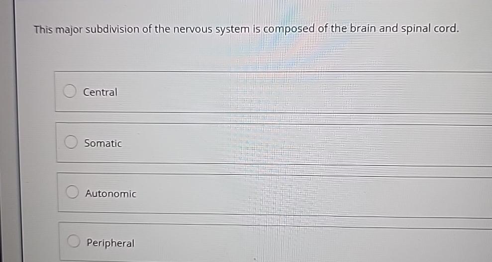 Solved This major subdivision of the nervous system is | Chegg.com