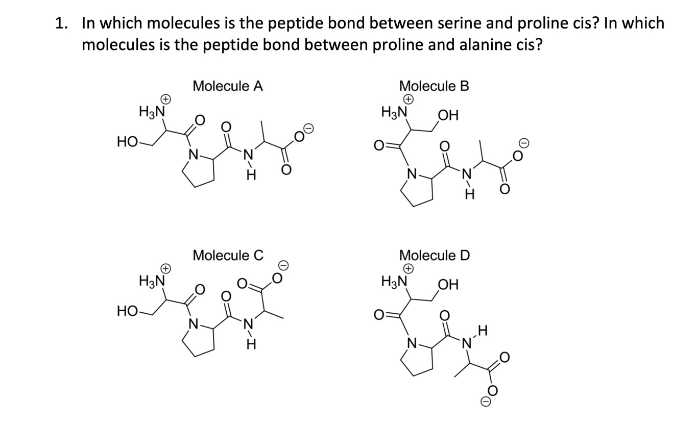 Solved In which molecules is the peptide bond between serine | Chegg.com