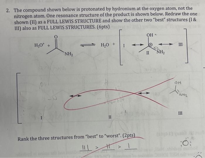 Solved The compound shown below is protonated by hydronium | Chegg.com