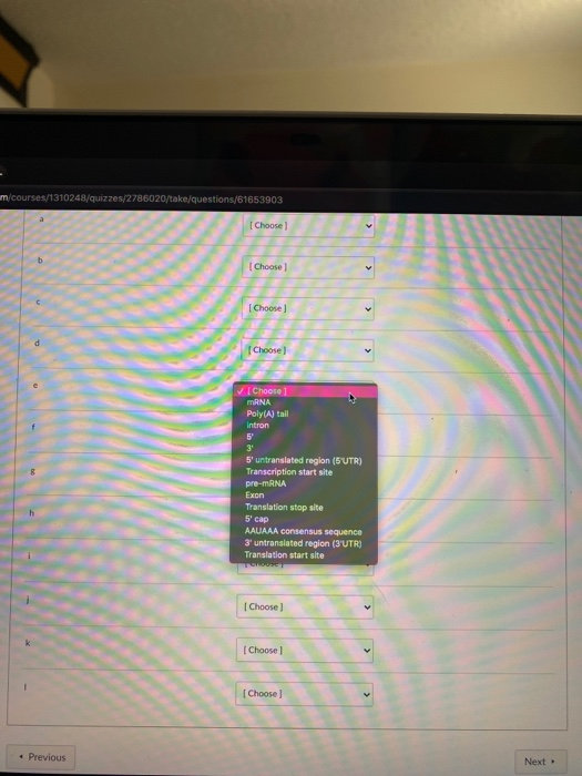 Solved Drawn below is a line drawing of a typical eukaryotic | Chegg.com