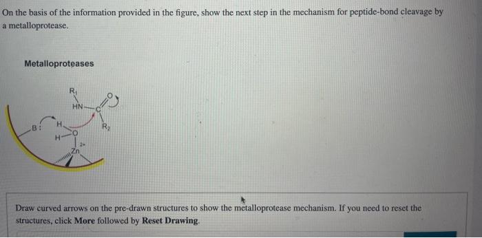 On the basis of the information provided in the | Chegg.com