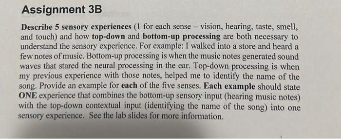 Solved Assignment 3B Describe 5 sensory experiences ( 1 for | Chegg.com