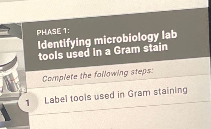 Solved PHASE 1:Identifying microbiology lab tools used in a | Chegg.com