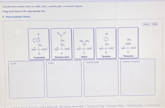 Solved Classify these amino acids as acidic, basic, neutral | Chegg.com
