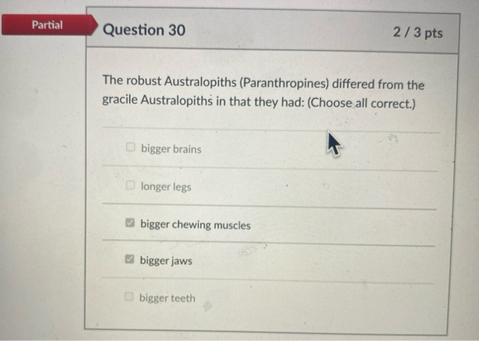 Solved Partial Question 30 2/3 pts The robust Australopiths | Chegg.com