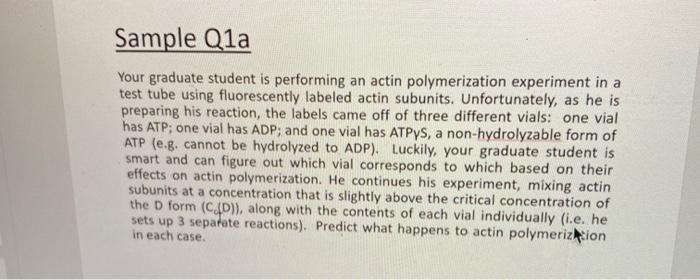 Solved Sample Qla Your graduate student is performing an | Chegg.com