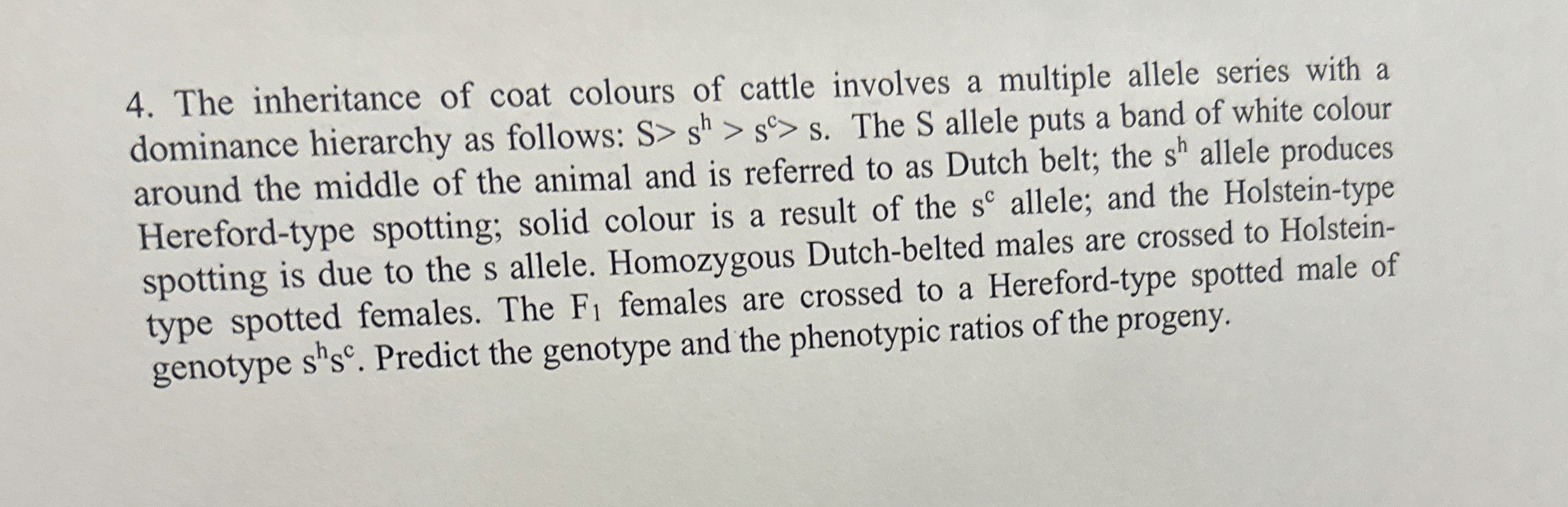 Solved The inheritance of coat colours of cattle involves a | Chegg.com